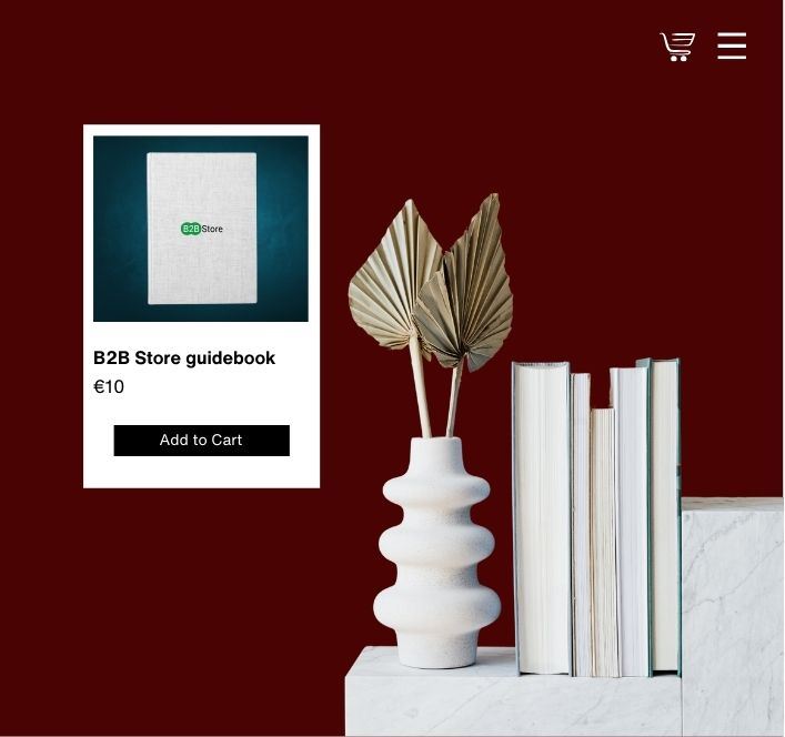 B2B Store's customizable solutions for publishing industry